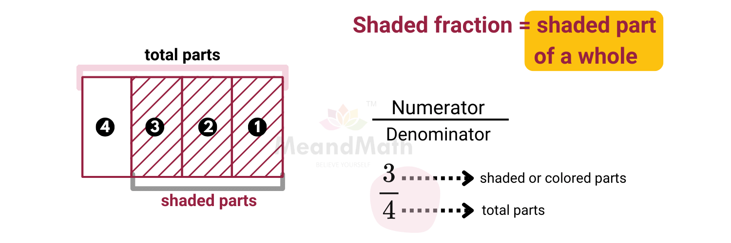 Shaded and Unshaded Fractions – resources.meandmath.com